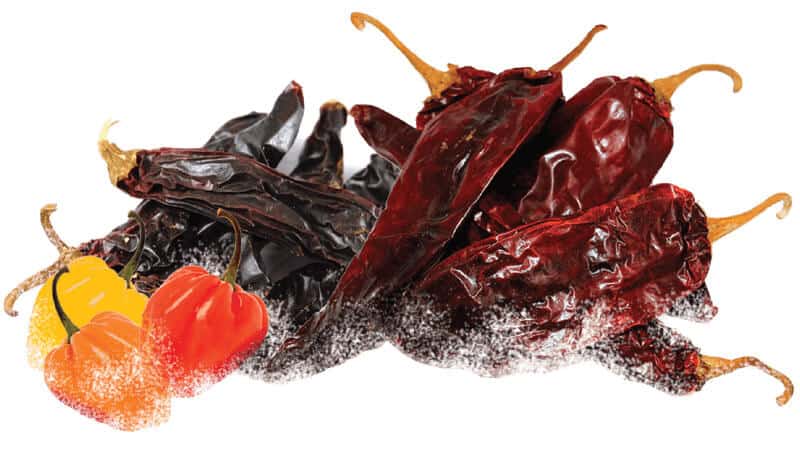 Chile Pepe : Chile en Polvo y Chile Entero Seco : Inocuos y Certificados